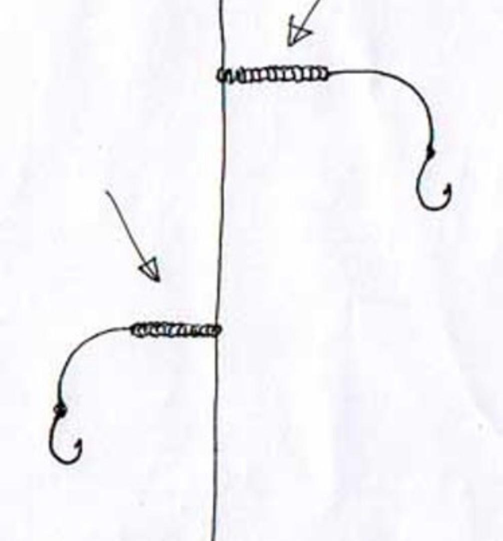 Twisted Apollo rig, Sports Equipment, Fishing on Carousell