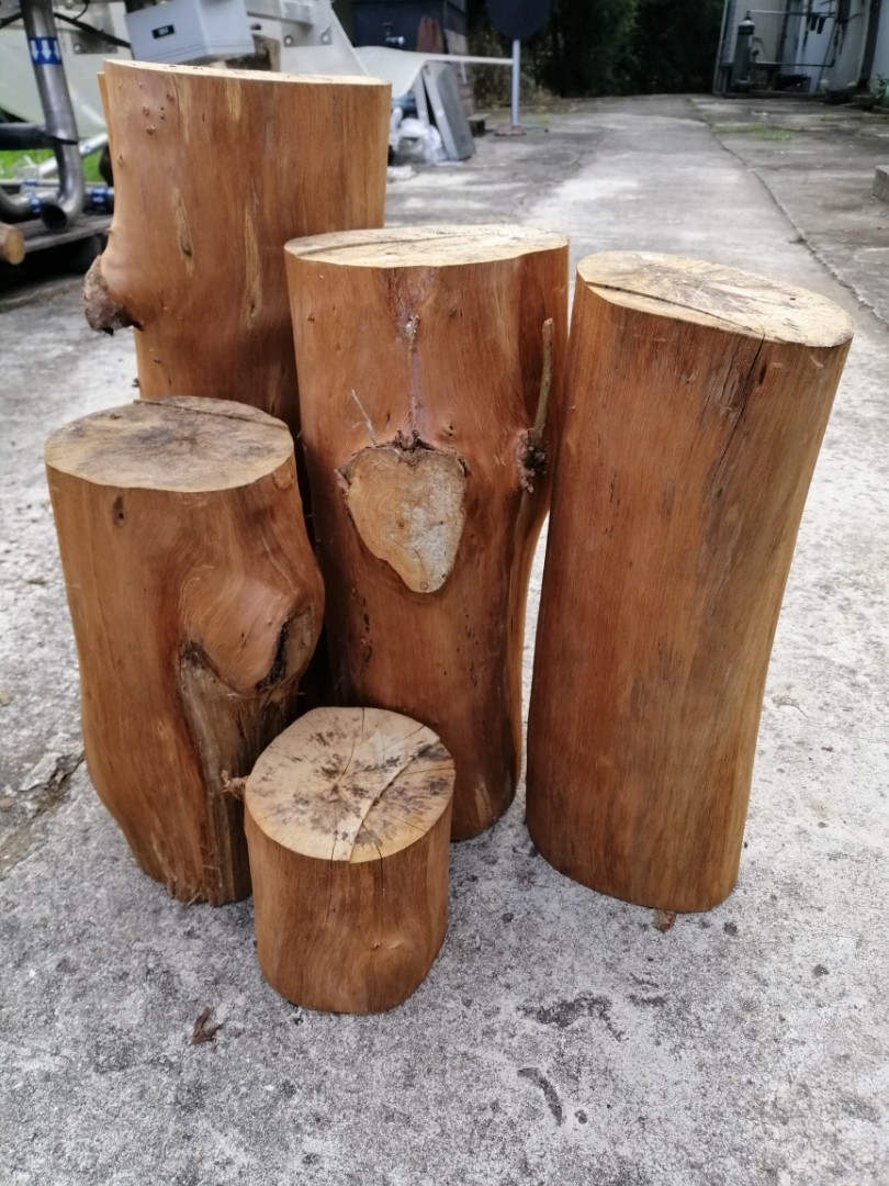 Tree trunk display, Furniture & Home Living, Home Decor, Other Home ...