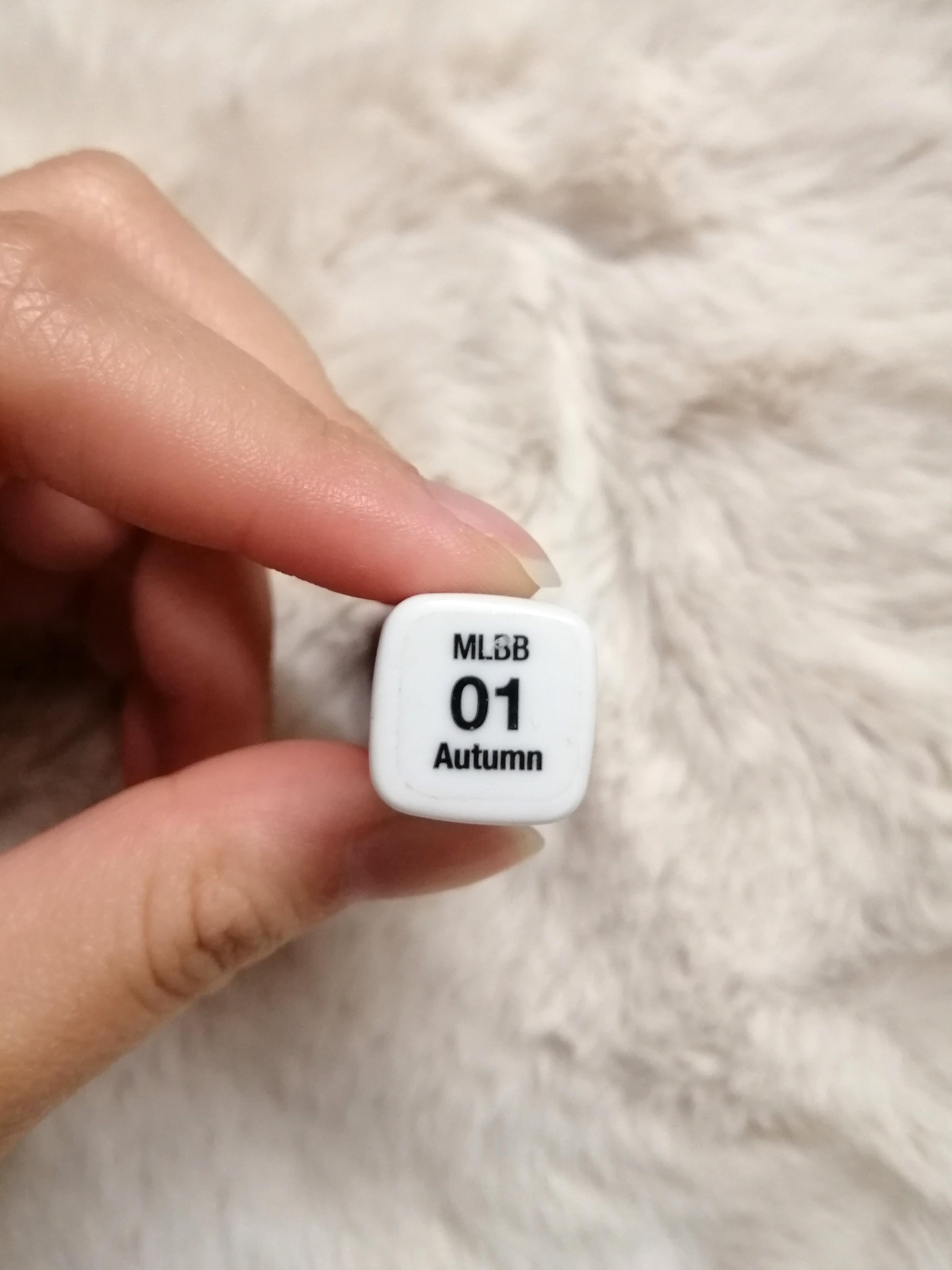 Silky Girl MLBB Lip Tint [01 Autumn], Beauty & Personal Care, Face ...