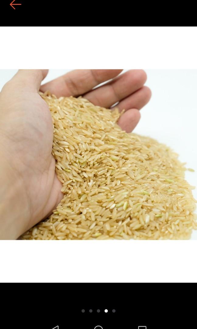 Vita brown rice 5kls, Food & Drinks, Beverages on Carousell