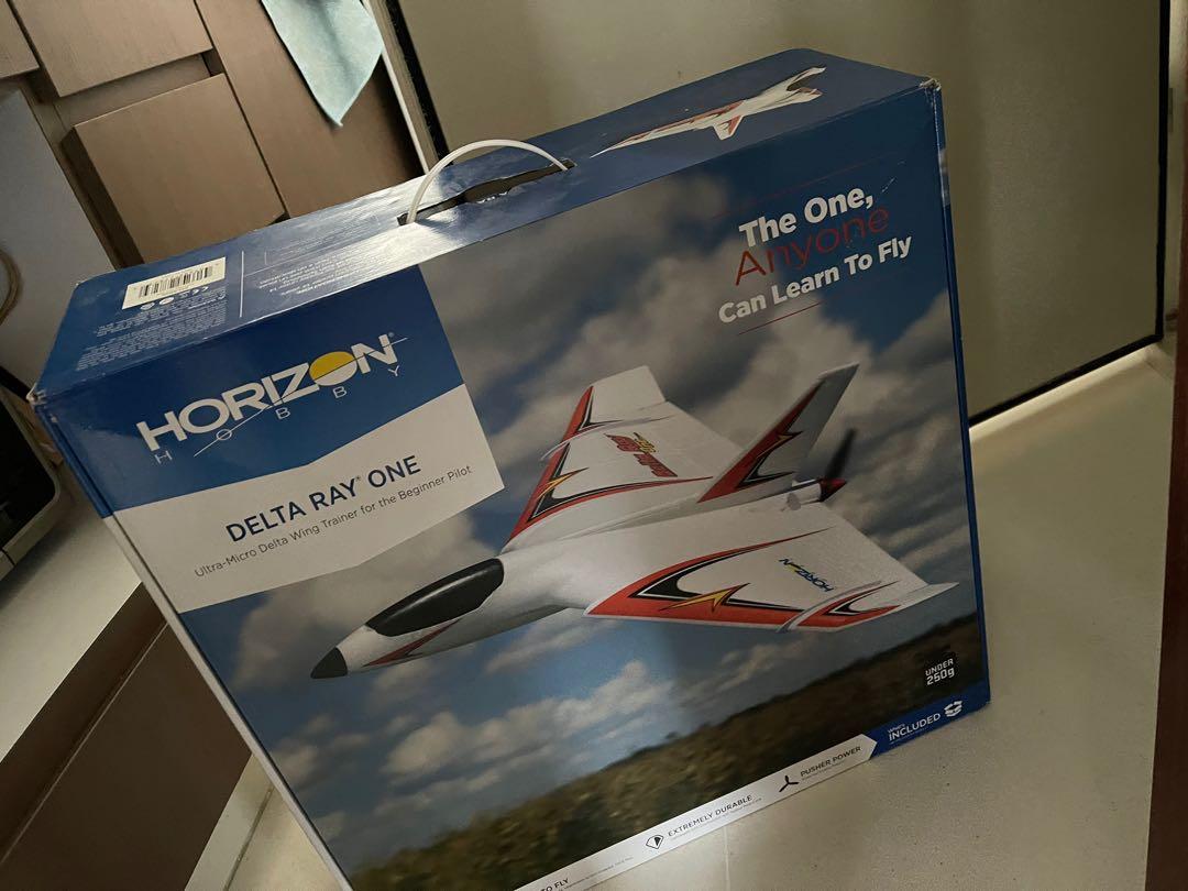 Delta one Rey RC Plane, Hobbies & Toys, Toys & Games on Carousell