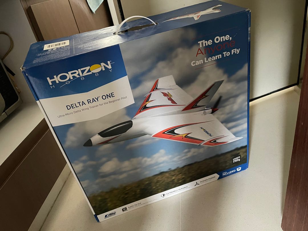 Delta one Rey RC Plane, Hobbies & Toys, Toys & Games on Carousell