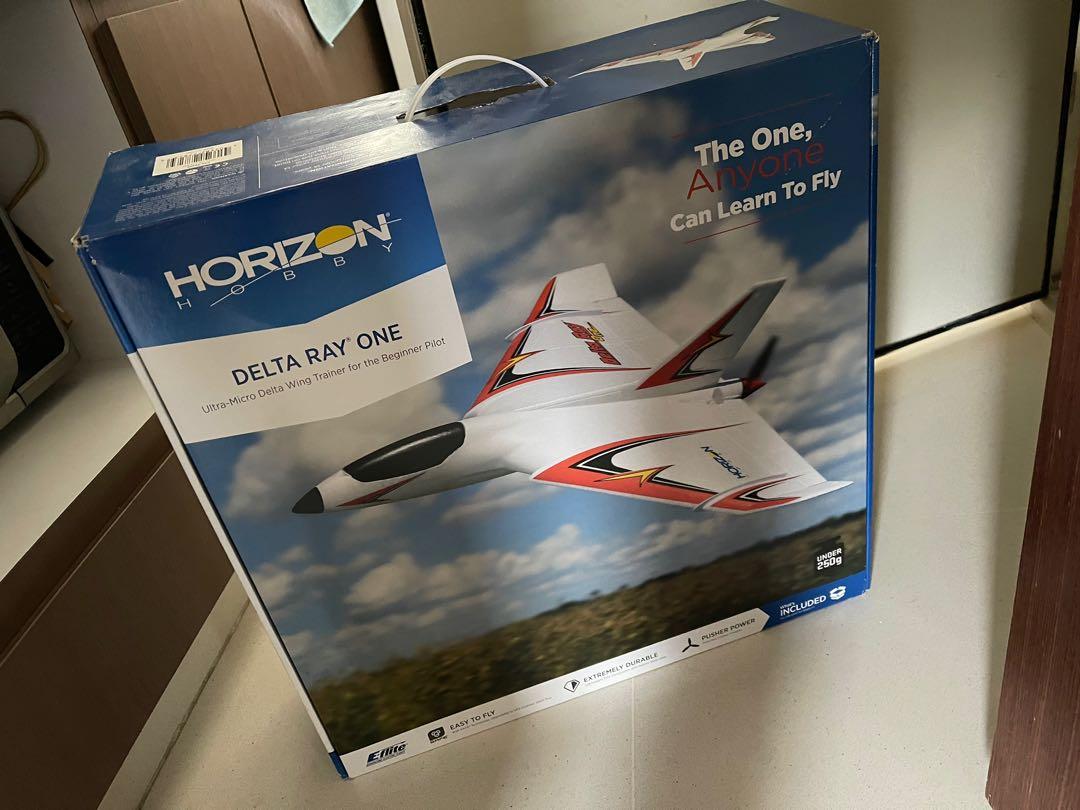 Delta one Rey RC Plane, Hobbies & Toys, Toys & Games on Carousell