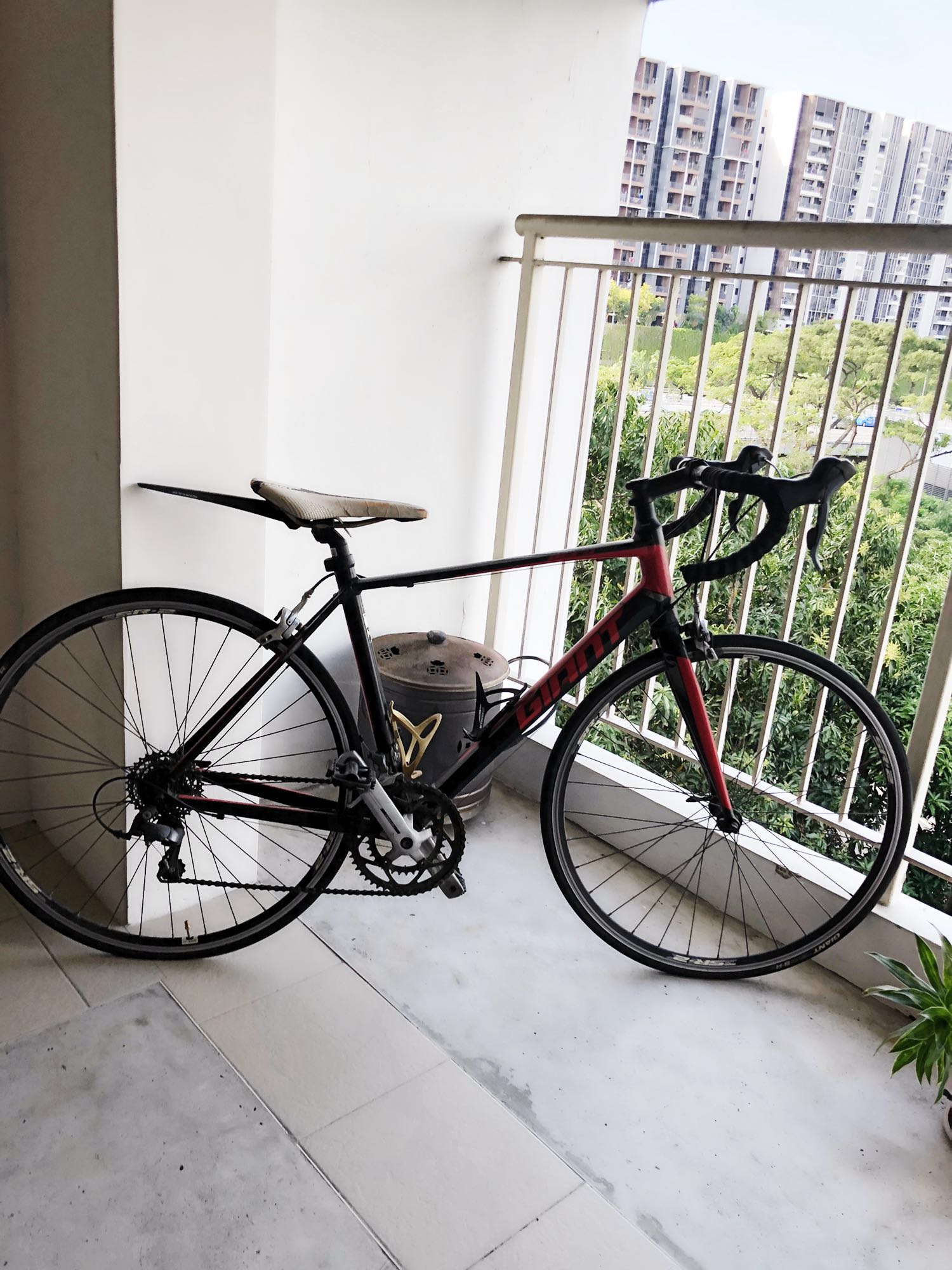GIANT DEFY 5, Sports Equipment, Bicycles & Parts, Bicycles on Carousell
