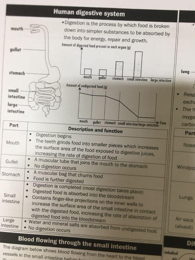 PSLE | P6 P5 P4 P3 | Science | Science Concept Map Revision | nt exam ...