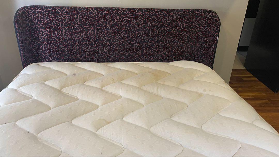 Cellini king sized bed frame, Furniture & Home Living, Furniture, Bed ...