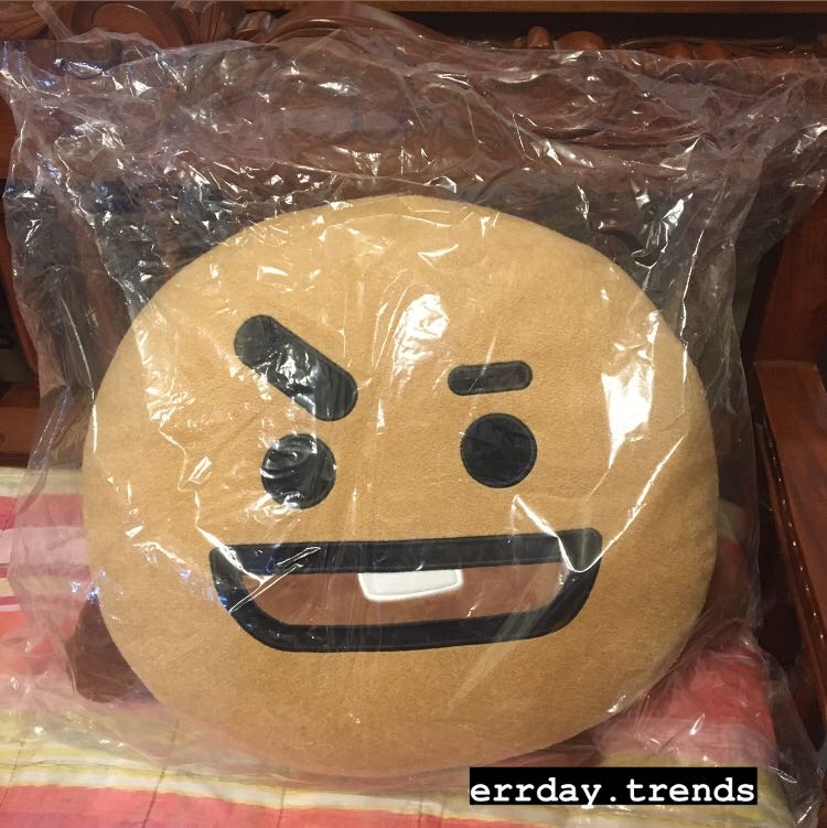 [ONHAND] BT21 Shooky 42cm Face Cushion, Hobbies & Toys, Memorabilia & Collectibles, K-Wave on ...