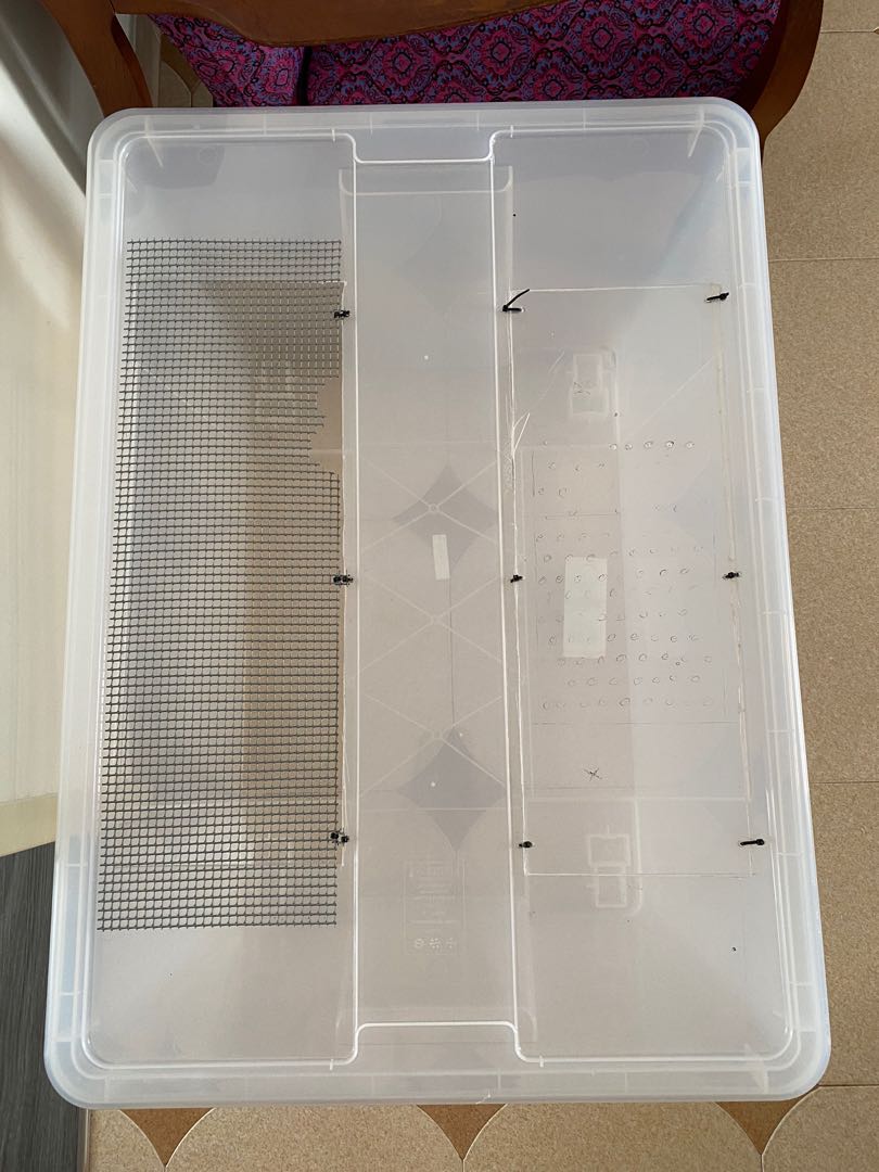 Large IKEA Samla Bin for Dwarf Hamster, Furniture, Others on Carousell