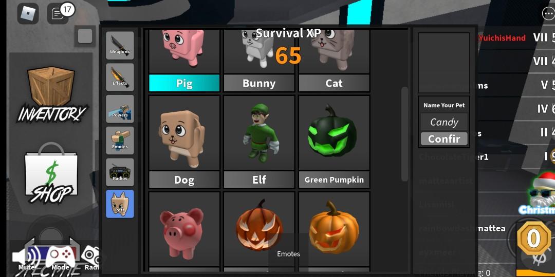 Roblox MM2(PETS), Hobbies & Toys, Toys & Games on Carousell