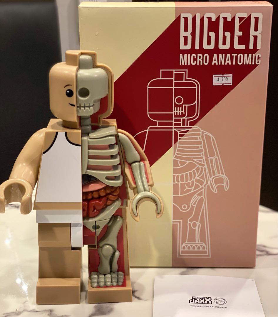 Jason Freeny Bigger Micro Anatomic, Hobbies & Toys, Toys & Games on ...