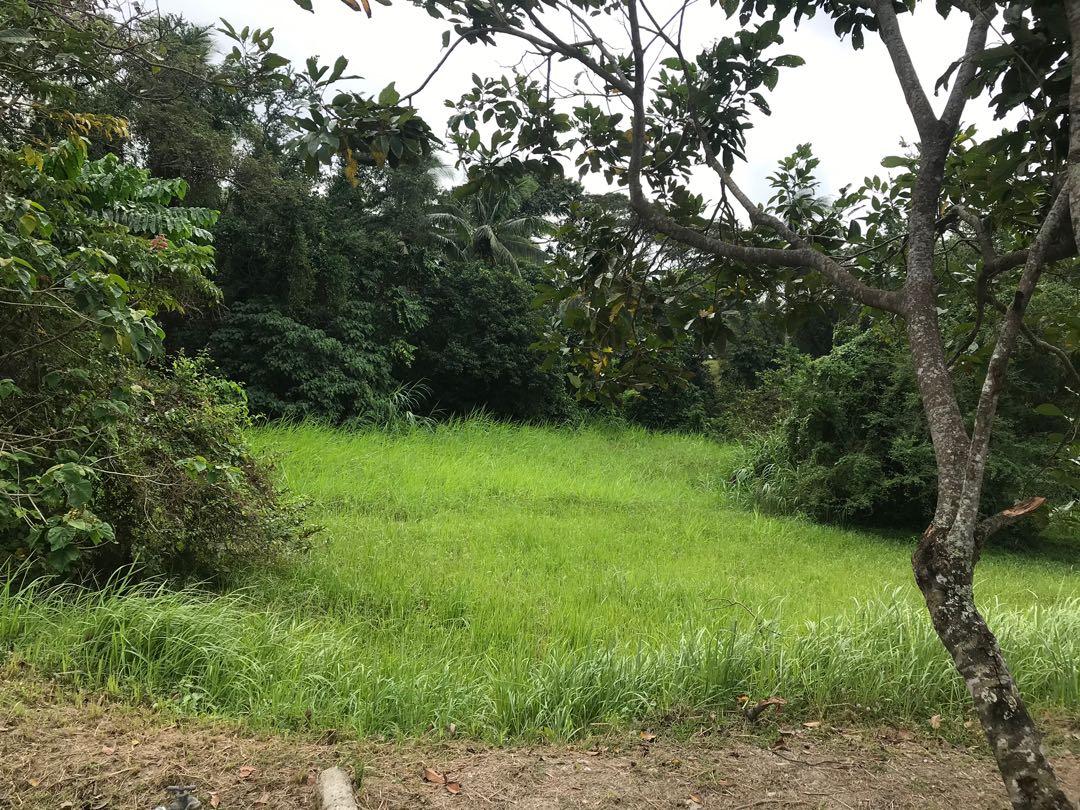 Leisure Farm Lemery Batangas, Property, For Sale, Lot on Carousell