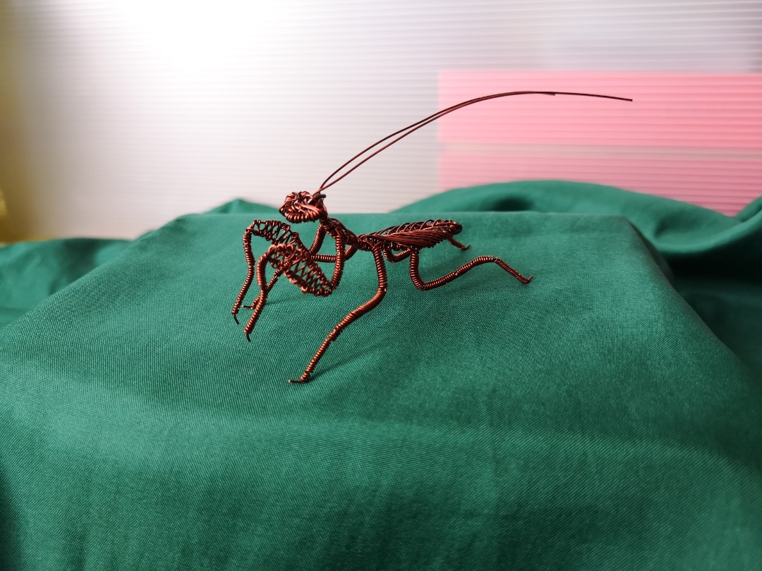 Praying Mantis {S}, Hobbies & Toys, Memorabilia & Collectibles ...