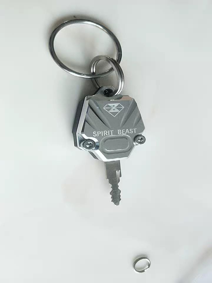 Authentic Spirit Beast Key Head / Shell. Direct Factory Made, Sports ...
