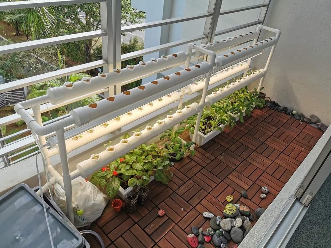 Hydroponics NFT Setup (72 hole), Furniture & Home Living, Gardening ...