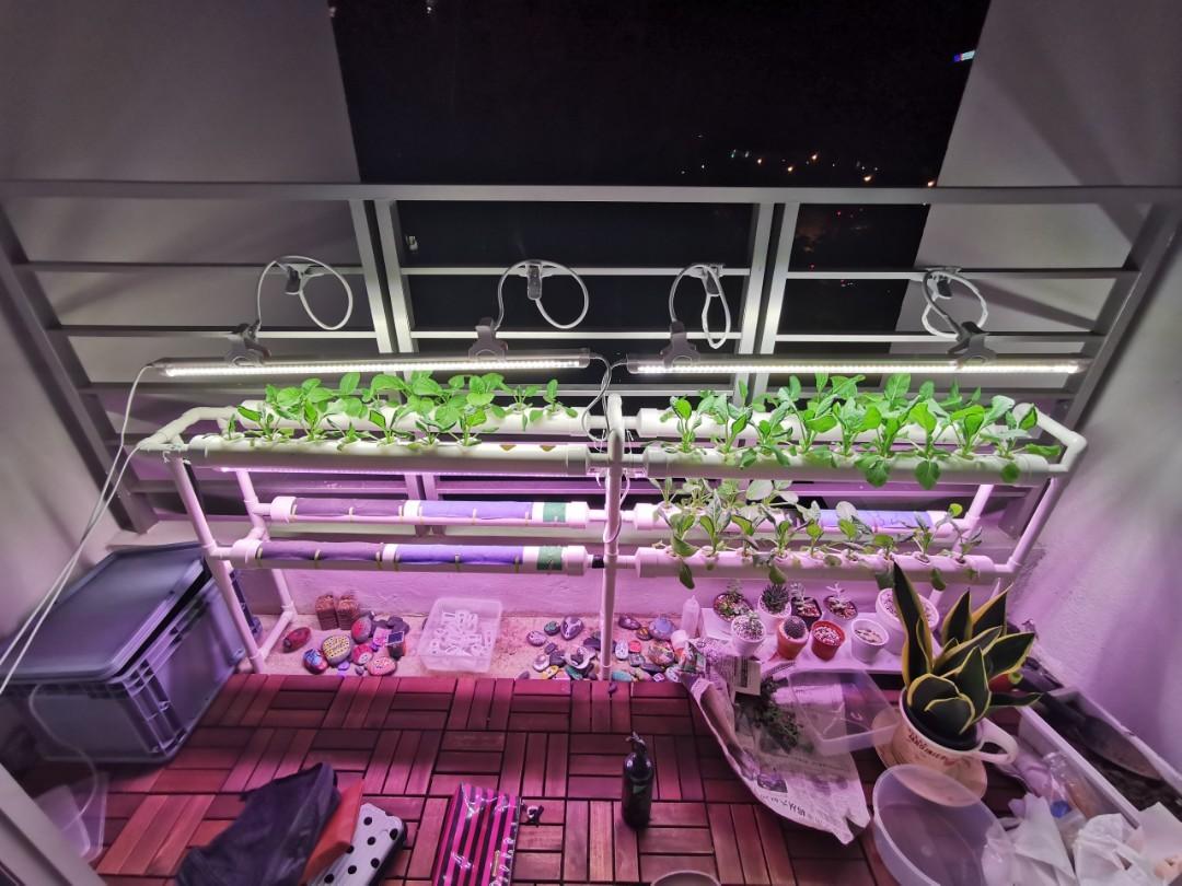 Hydroponics NFT Setup (72 hole), Furniture & Home Living, Gardening ...