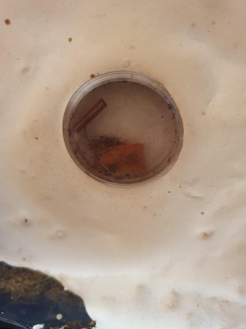 Lp Rod, Hobbies & Toys, Memorabilia & Collectibles, Religious Items on ...