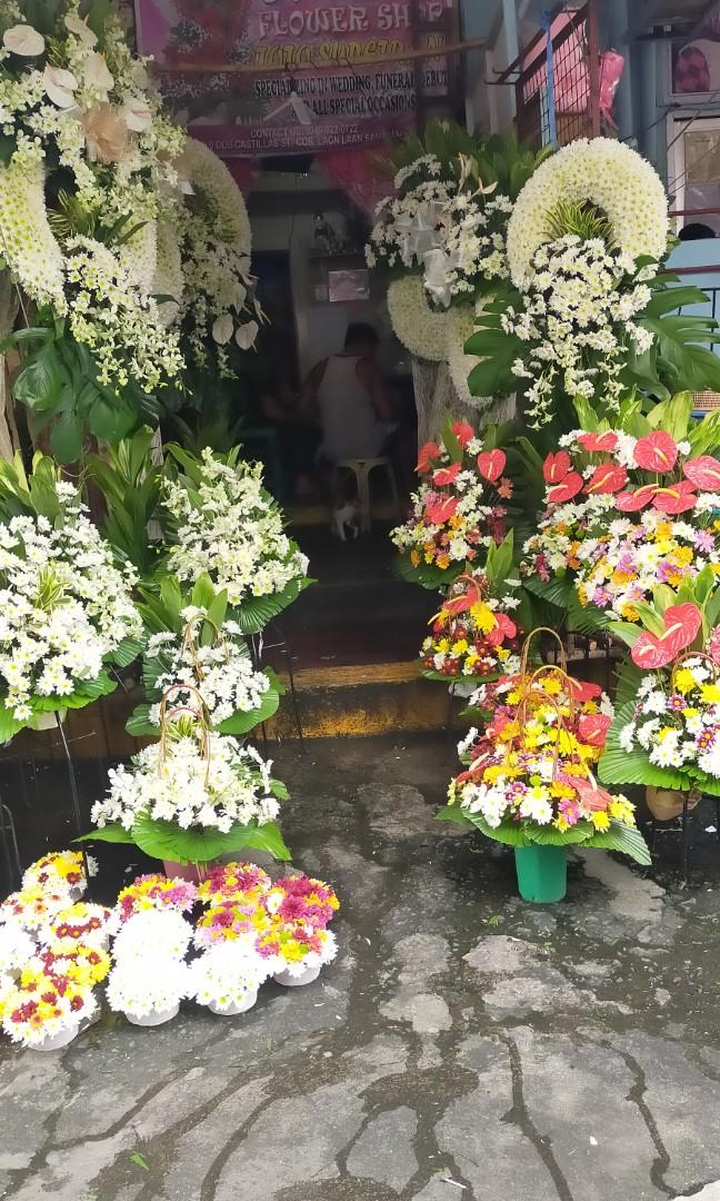 Flowers In Dangwa | Best Flower Site