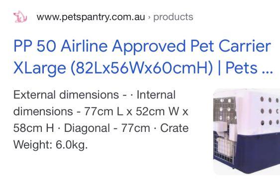 PP50 pet crate, Pet Supplies, Homes & Other Pet Accessories on Carousell