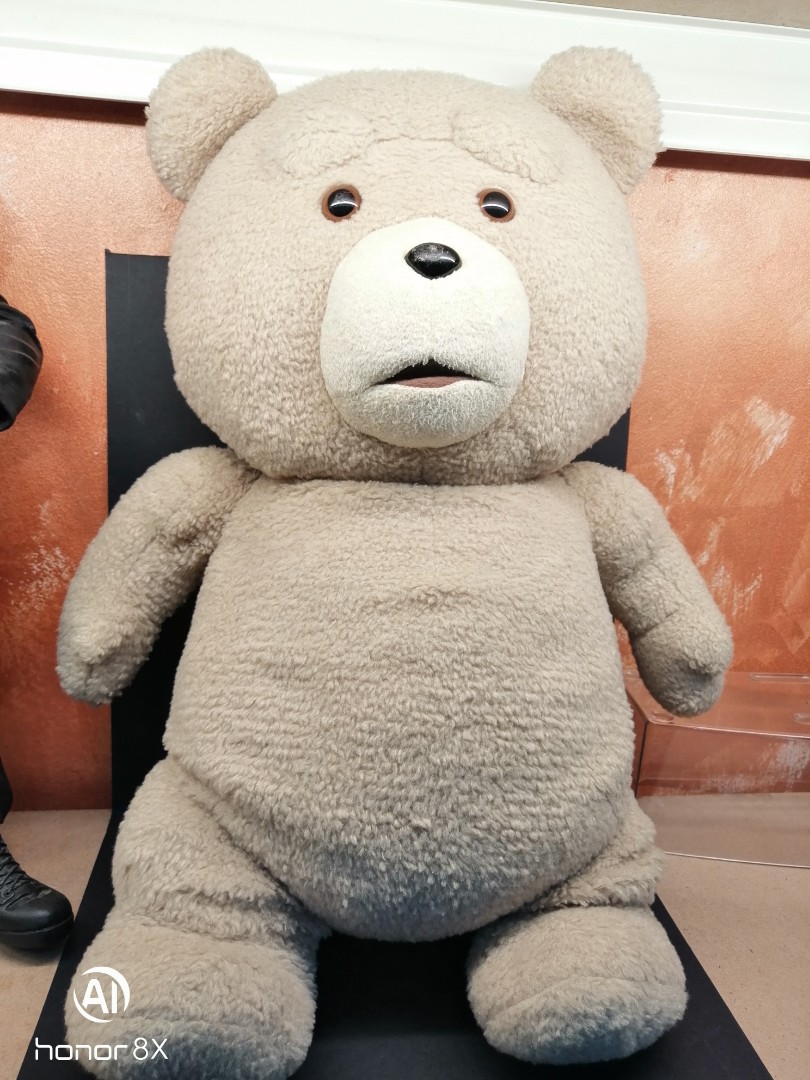 TED SOFTTOYS ORIGINAL, Hobbies & Toys, Toys & Games on Carousell