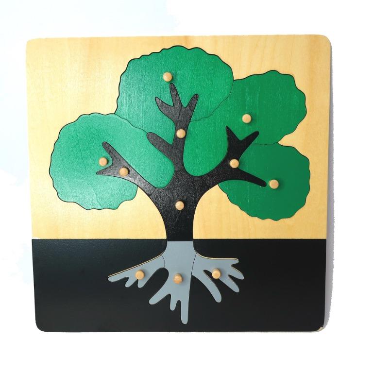 Botany Puzzle - Tree, Hobbies & Toys, Books & Magazines, Children's ...