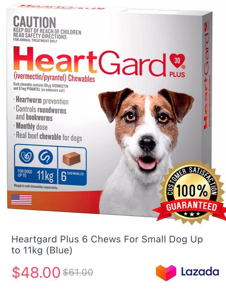 HeartGard Plus 6 Chews for Small Dog up to 11kg, Pet Supplies, Homes ...