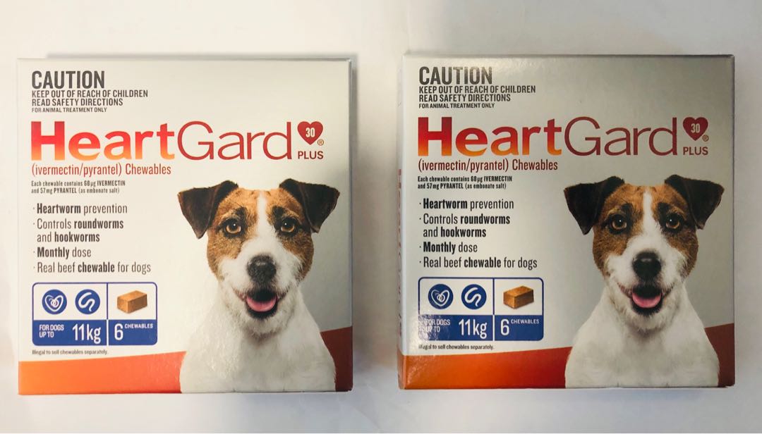 HeartGard Plus 6 Chews for Small Dog up to 11kg, Pet Supplies, Homes ...
