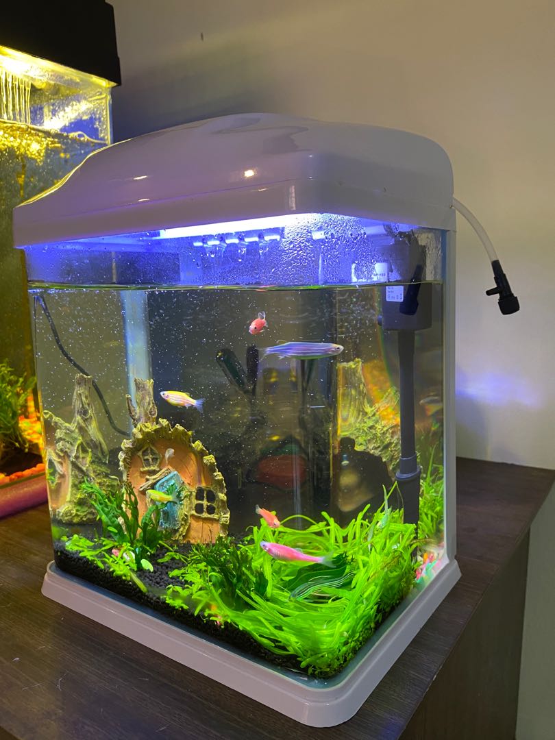 NANO FISH TANK SET (26 x 24) / AQUASCAPE, Pet Supplies, Homes & Other ...