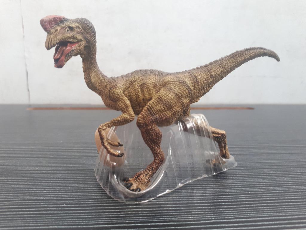 Papo Oviraptor Dinosaur, Hobbies & Toys, Toys & Games on Carousell