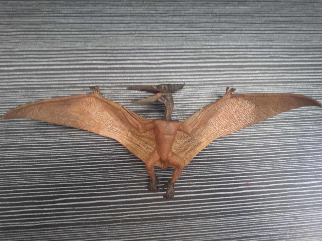 Papo Pteranodon Dinosaur, Hobbies & Toys, Toys & Games on Carousell