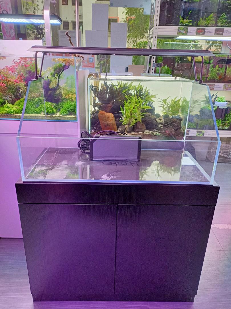 85cm paludarium tank with light and cabinet, Pet Supplies, Homes ...