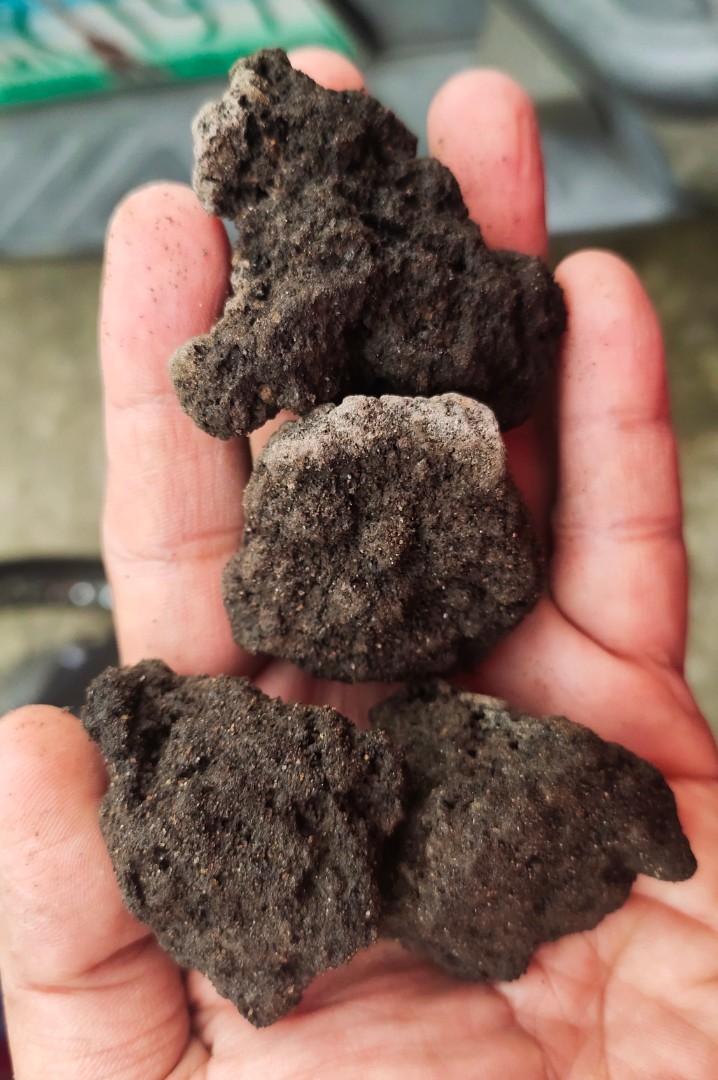 Black Lava rocks for volcano barbeque bbq grill or aquascaping planted ...