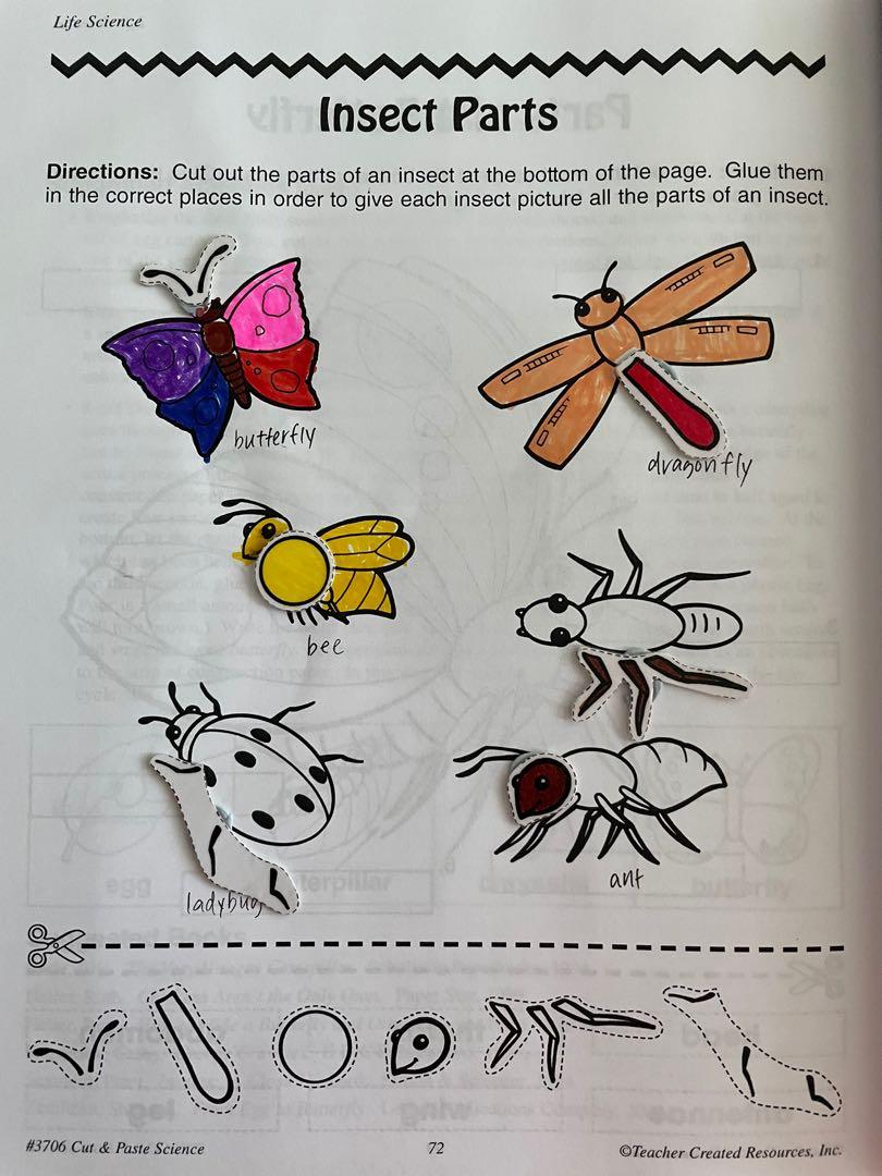 Cut & Paste Science Book, Hobbies & Toys, Books & Magazines, Assessment ...