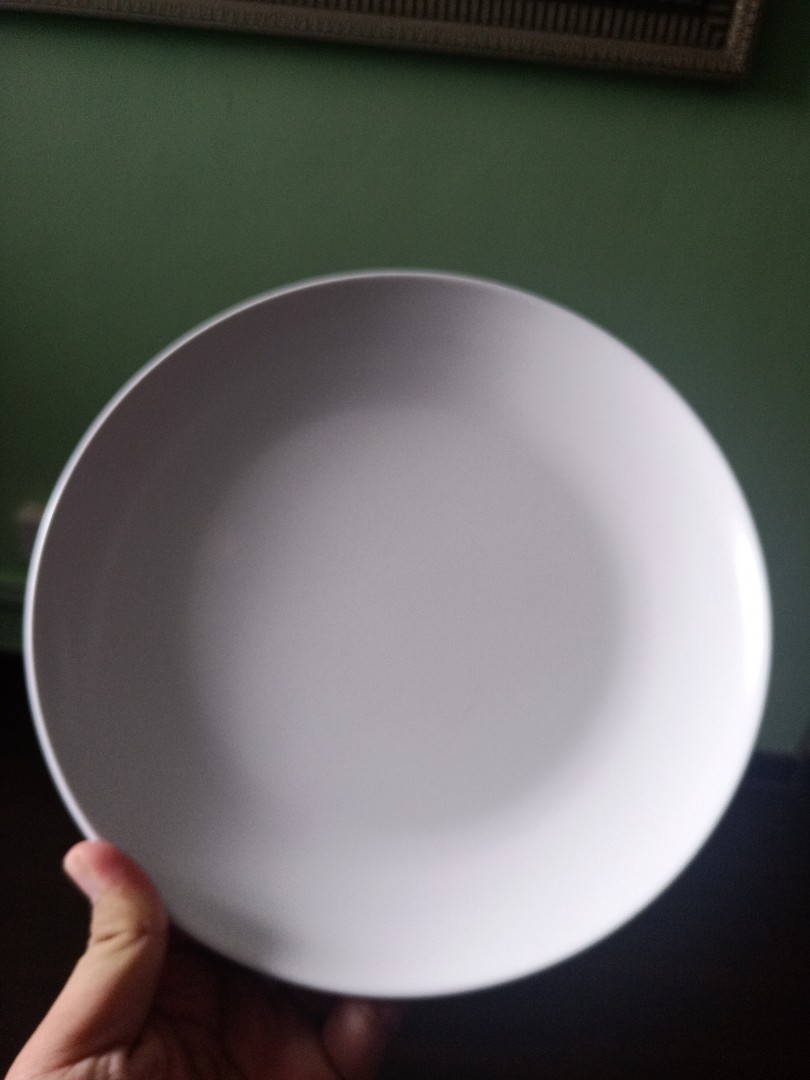 Hoover Melamine Plates, Furniture & Home Living, Kitchenware ...