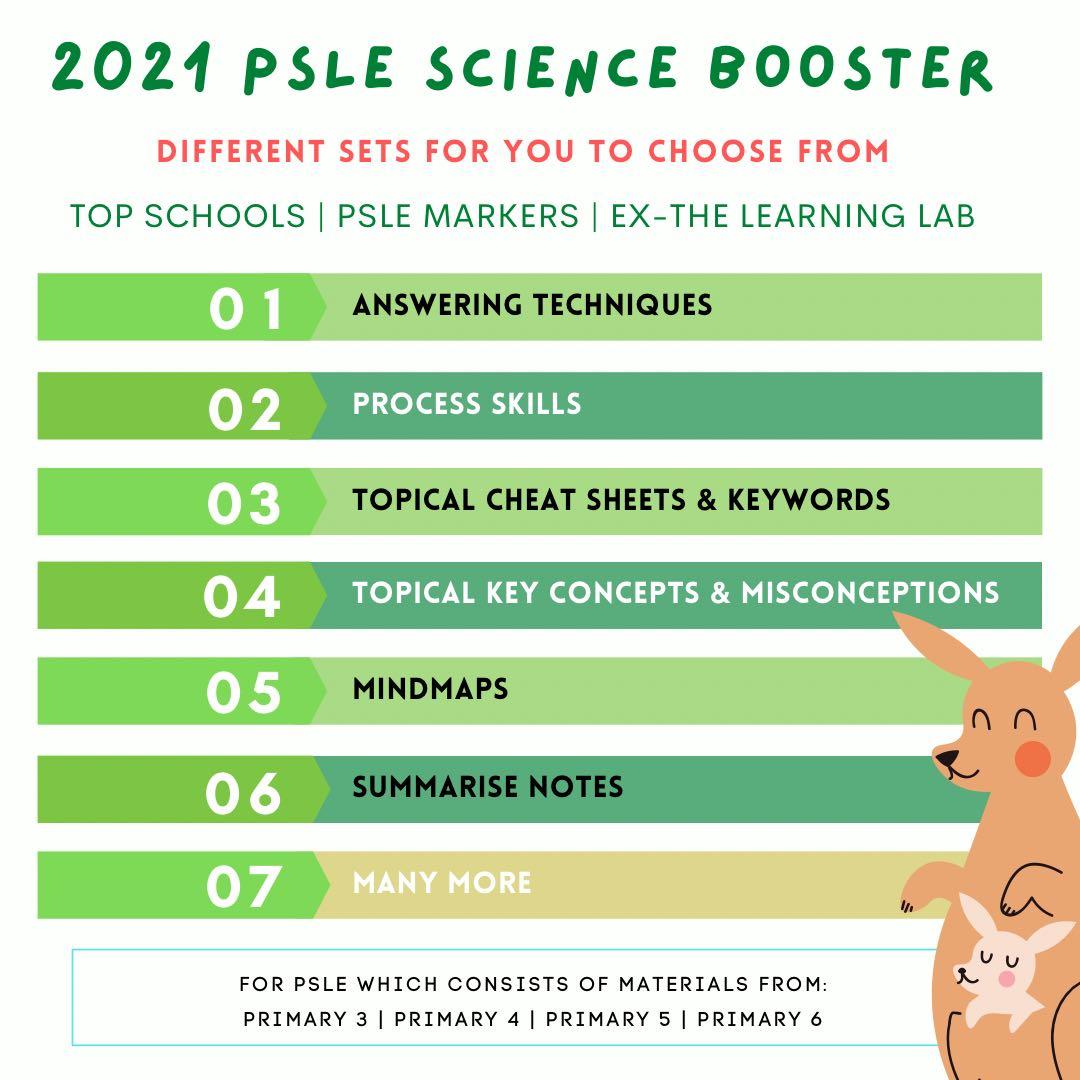 [2023 PSLE Preparation] 22 DEC UPDATED : Improvised Summary With Past ...