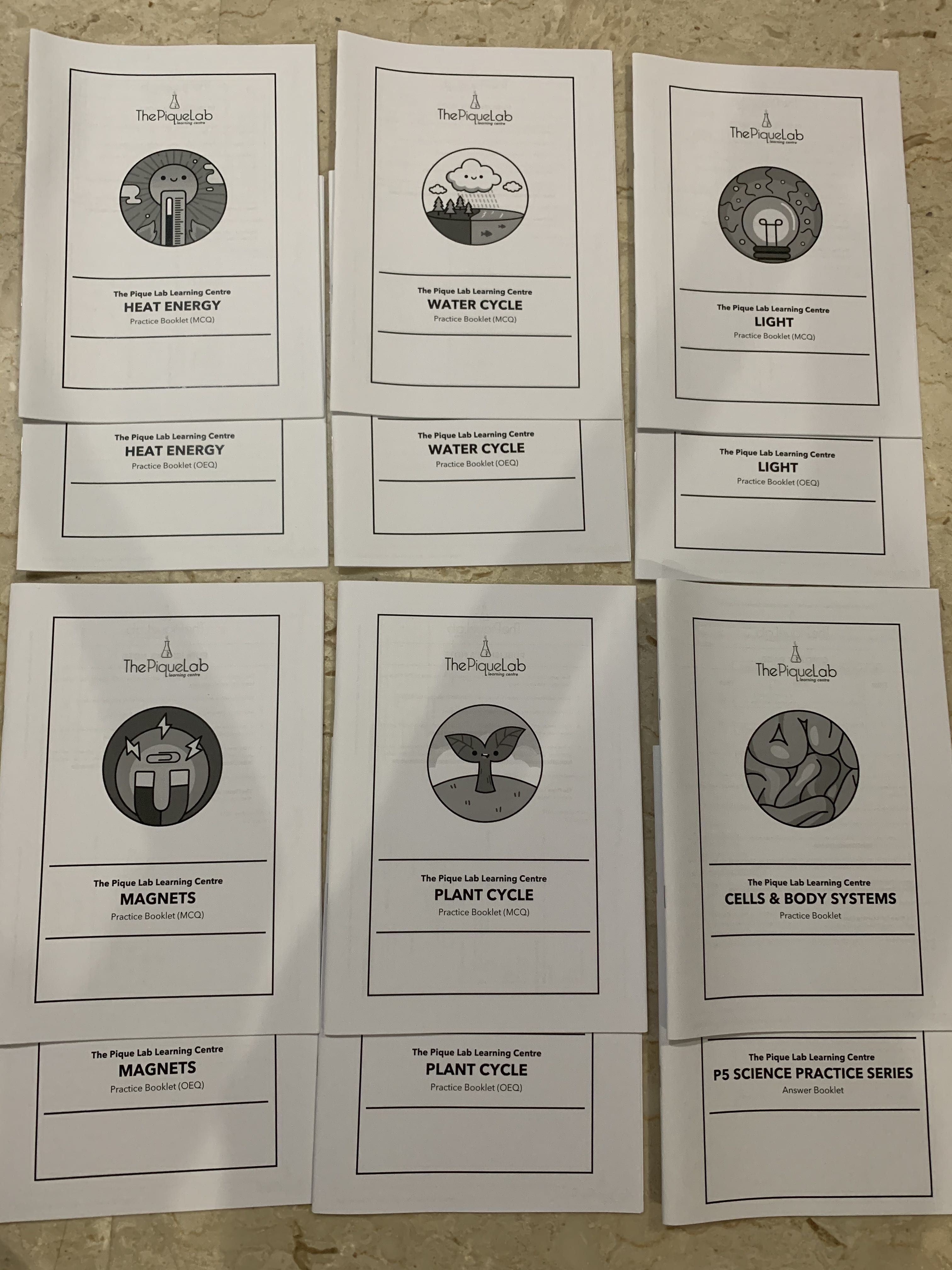 PSLE P5 Pique Lab Ultimate PSLE Science Practice Series, Books ...