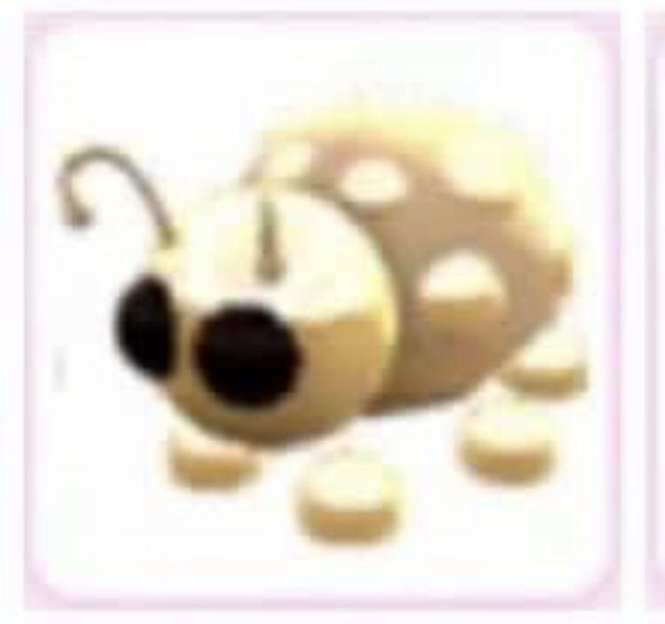 roblox adopt me golden ladybug, 電子遊戲, 遊戲機配件, 遊戲禮物卡及帳戶 - Carousell