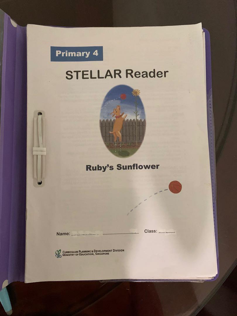 Stellar reader p4, Hobbies & Toys, Books & Magazines, Assessment Books ...