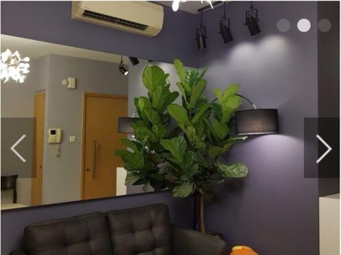 Atrium Residences, Property, Rentals, Condos & ECs on Carousell