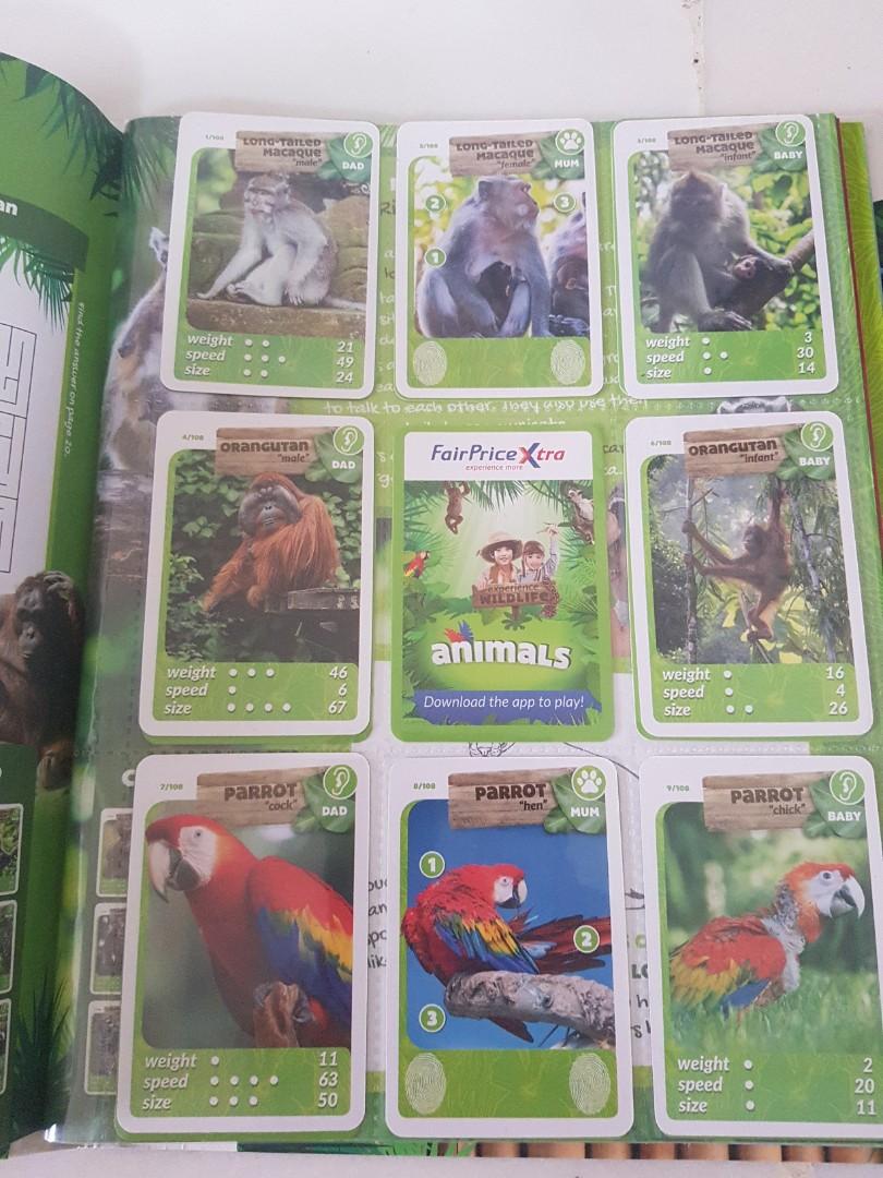 Fairprice Xtra Educational Wild Animals Card Collection And Activity ...