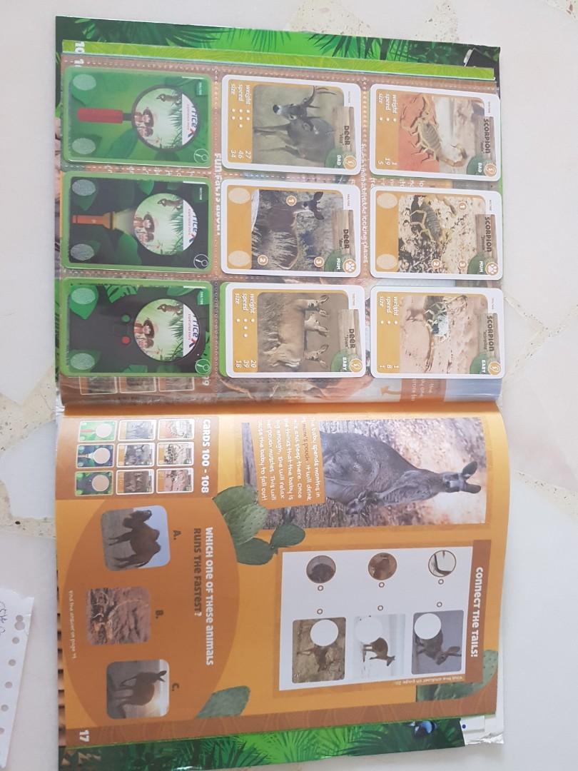 Fairprice Xtra Educational Wild Animals Card Collection And Activity ...