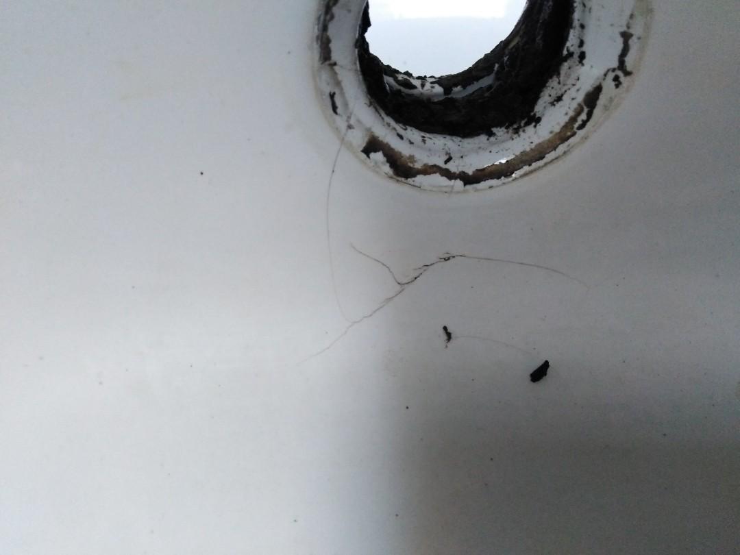 Hcg lavatory (wash basin) sink with pedestal, minor crack, Furniture ...