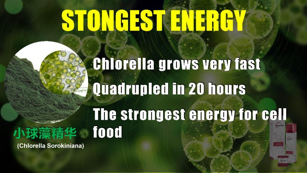 ASENTAR Health Supplement- The Most Powerful Cell Food Supplements ...