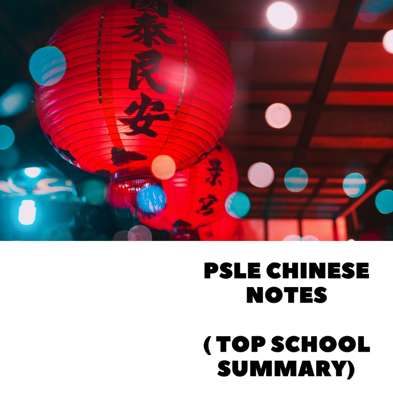PSLE Chinese Notes (Top School Summary), Hobbies & Toys, Books ...