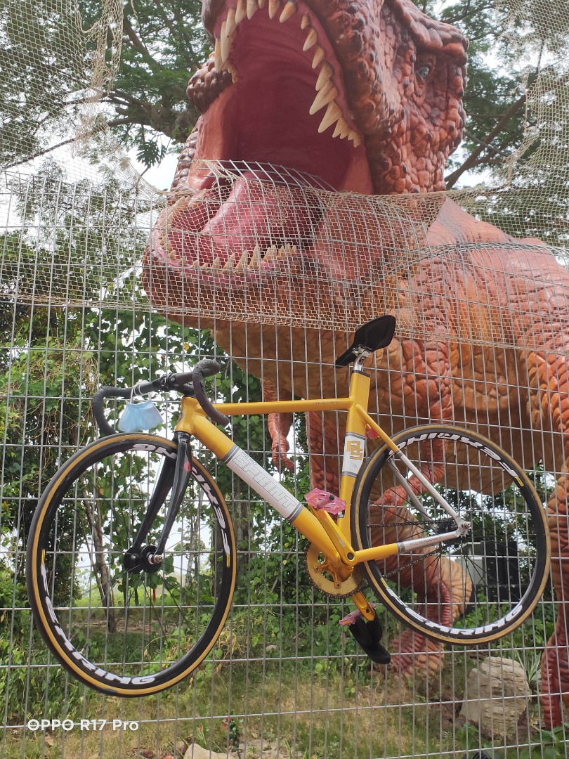 Fullbike Aerosprint ( constantine liberty engine 11 cinelli wheelset ...