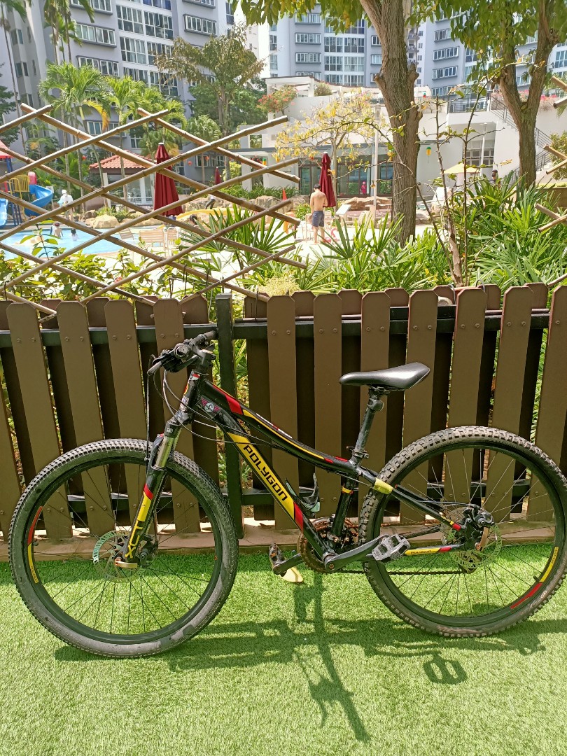Polygon Relic Junior, Sports Equipment, Bicycles & Parts, Bicycles on ...