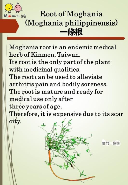 一条根 Yi Tiao Gen Kinmen Taiwan Herbal Medicated Massage Cream 金牌金门一條根精油霜 ...