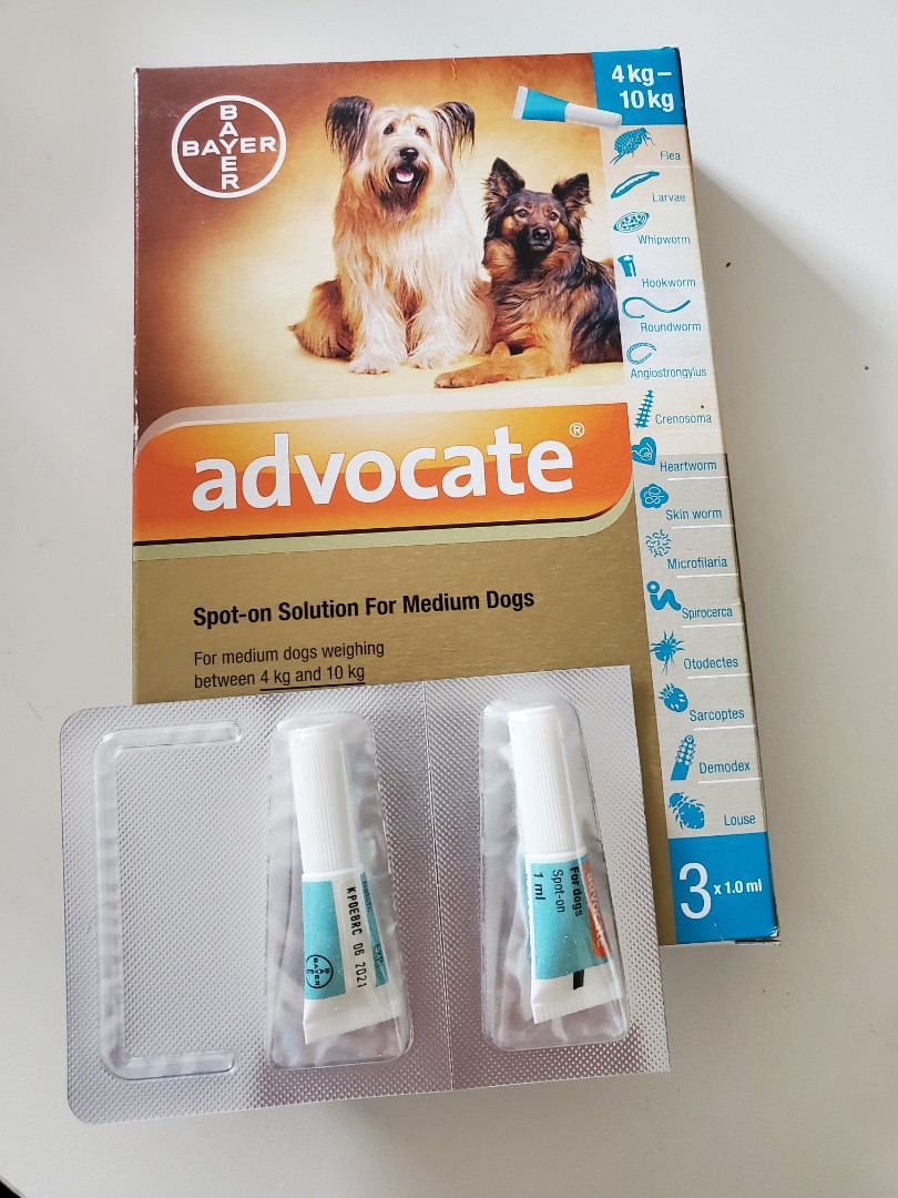 Advocate Spot-On Solution, Pet Supplies, For Dogs, Health & Grooming on ...