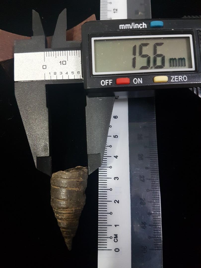 Ancient Conical Lead Ingots Javanese Barter Trade Currency, Hobbies ...