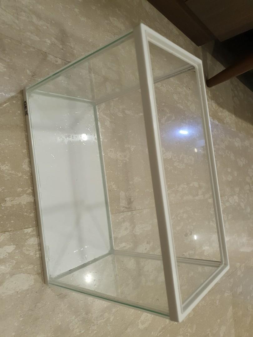 Gex 30(L) x 16(D) x 23.5(H) cm white fishtank, Pet Supplies, Homes & Other Pet Accessories on ...
