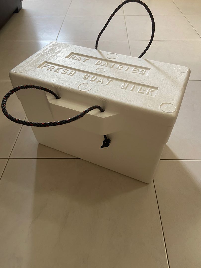 Ice Box / Styrofoam Box with handle and cover, Everything Else on Carousell